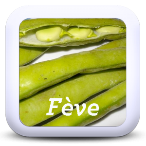 Cuisiner les fanes et épluchures de vos légumes - Je cuisine mon potager